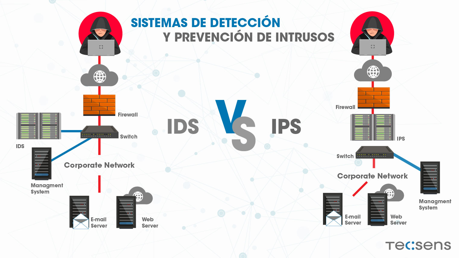 Sistemas de detección y prevención de intrusiones (IDS/IPS) – Protección de Datos